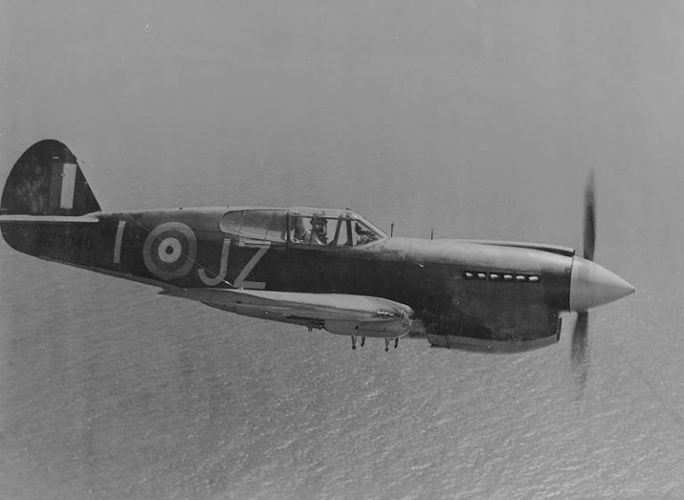 RNZAF P-40 colours - Aircraft WWII - Britmodeller.com